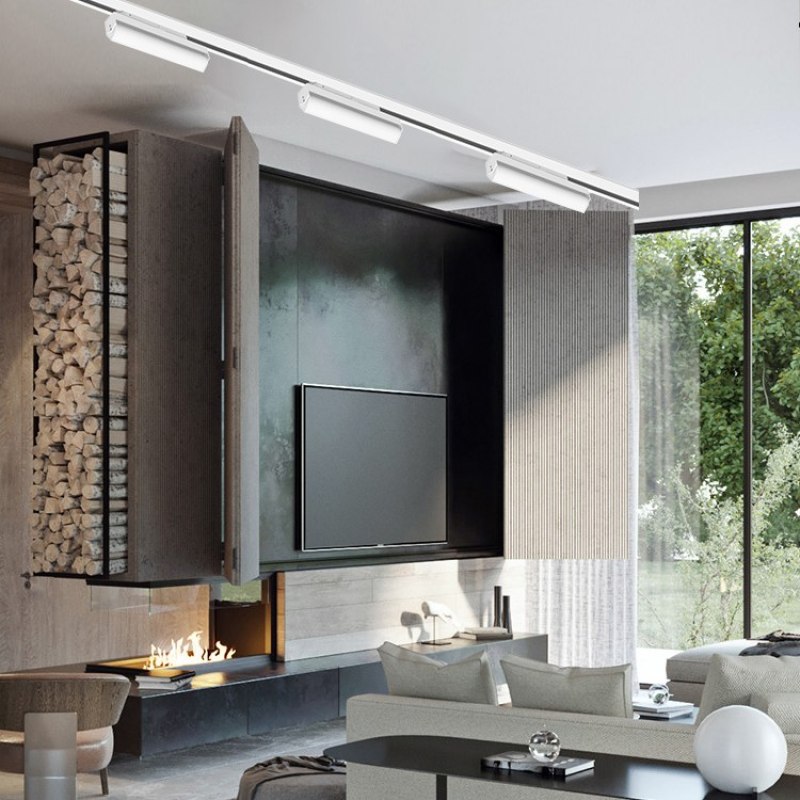 Suspended Track Light-TS01006